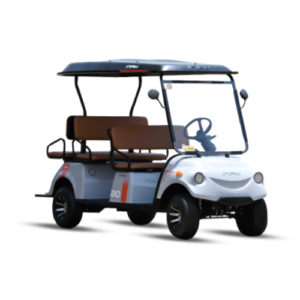 Maini Buggy - Golf Cart 6 SEATER - Sharvill Industries